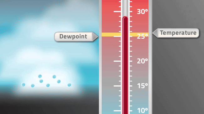 Humidity and Types of Humidity - Geography Notes