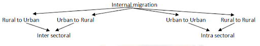 Migration - Geography Notes