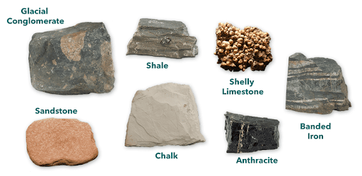 Sedimentary Rocks - Types of Rocks - Geography notes