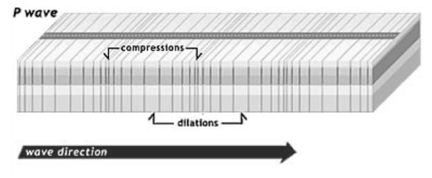 P-Waves (Primary Waves) - Geography Notes