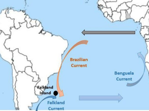 The Falkland Current - Oceanic Currents - Geography Notes
