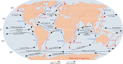 Movement of Ocean Water - Geography notes
